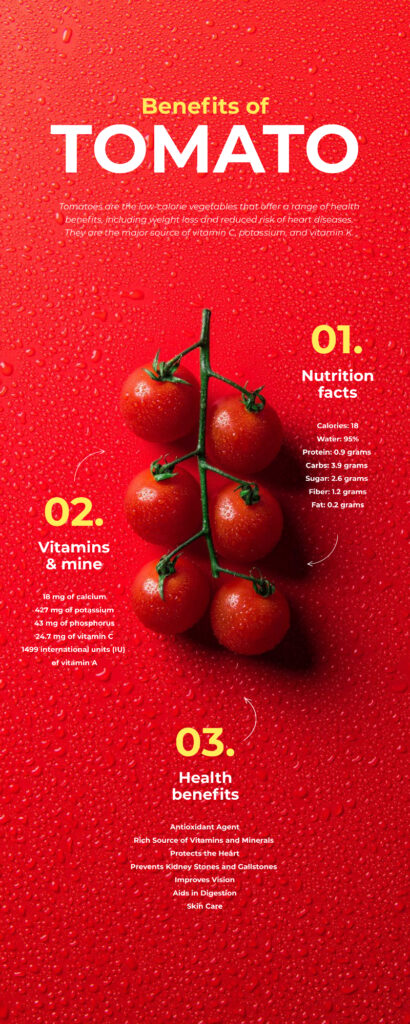 İnfografik 800x2000 px